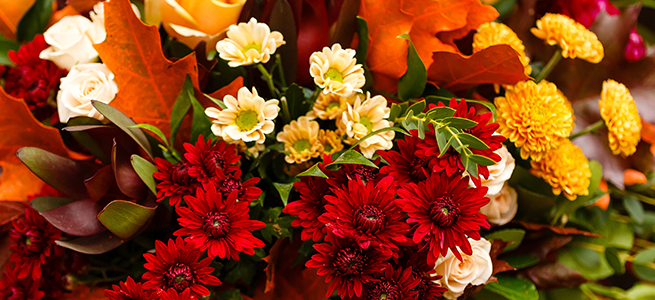 Flower Delivery Manchester | Designer Flowers by Rodgers