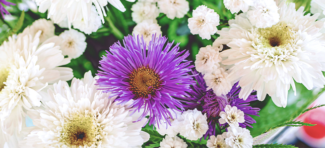 Flower Delivery Manchester | Designer Flowers by Rodgers